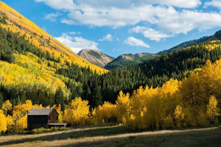 Fall Colors in Colorado with Kids Are Best Seen on a Scenic Drive