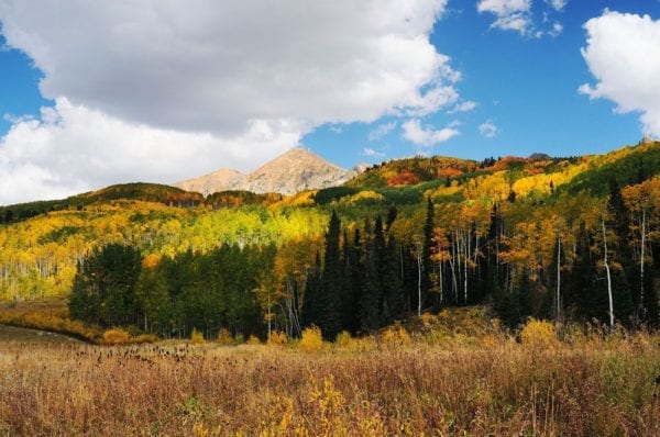 Fall Colors in Colorado with Kids Are Best Seen on a Scenic Drive