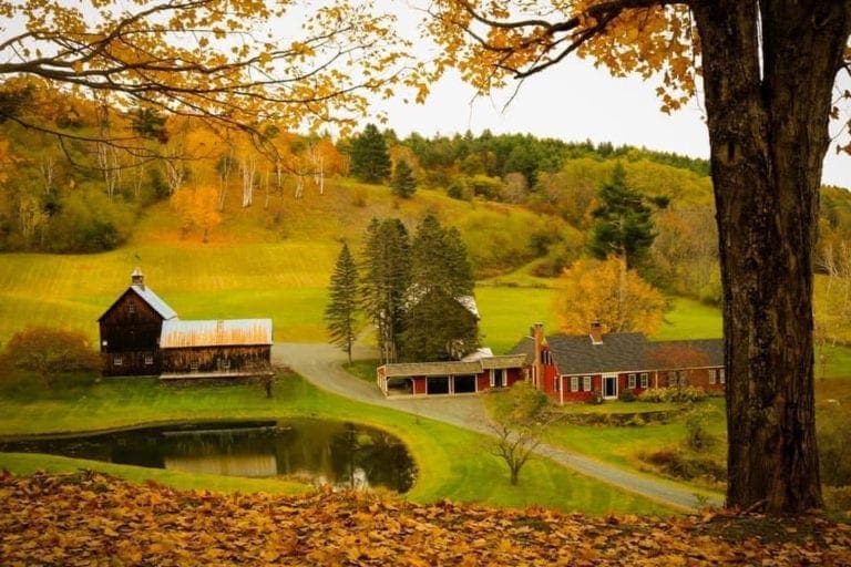 19 Best Places to See Fall Foliage in New England with Kids!