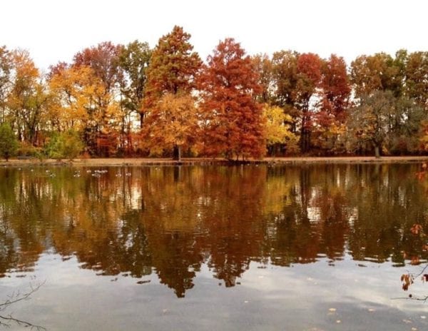 13 Best Places to See Fall Foliage Near NYC with Kids
