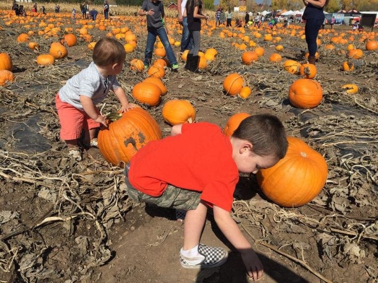 20+ Best Fall Activities in Colorado with Kids
