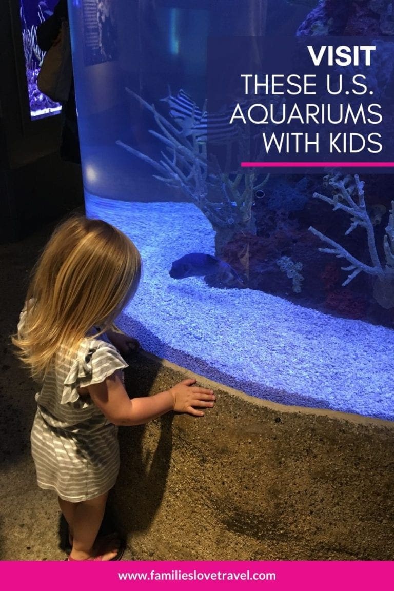 9 Best U.S. Aquariums For Kids to Visit (All Parent-Recommended)