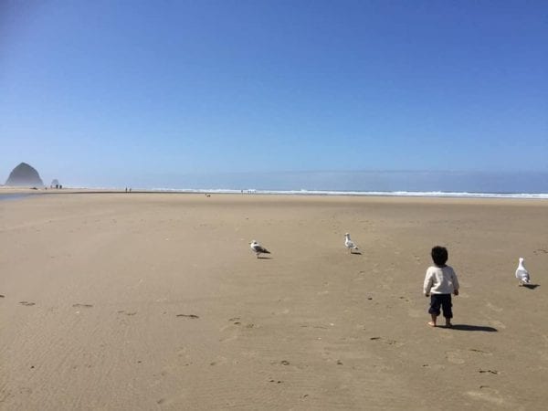 15 Best US Beaches for Families (Plus Where to Stay)