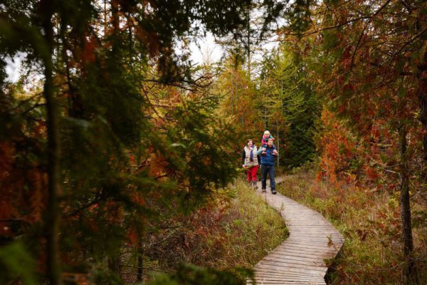 14 Best Places to See Fall Colors in the Midwest for Families!