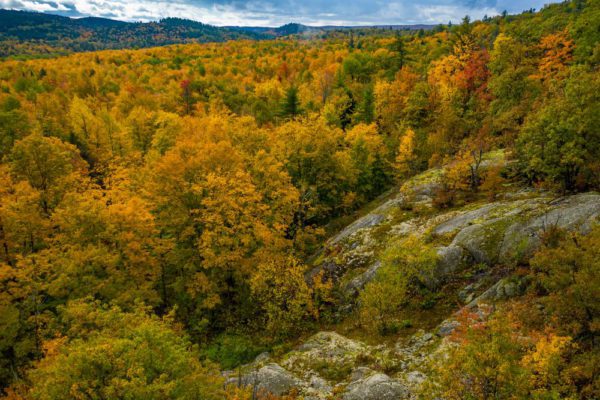 14 Best Places to See Fall Colors in the Midwest for Families!