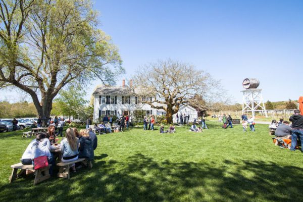 15 Best Things To Do In Cape Cod With Kids (Plus Where to Stay!)