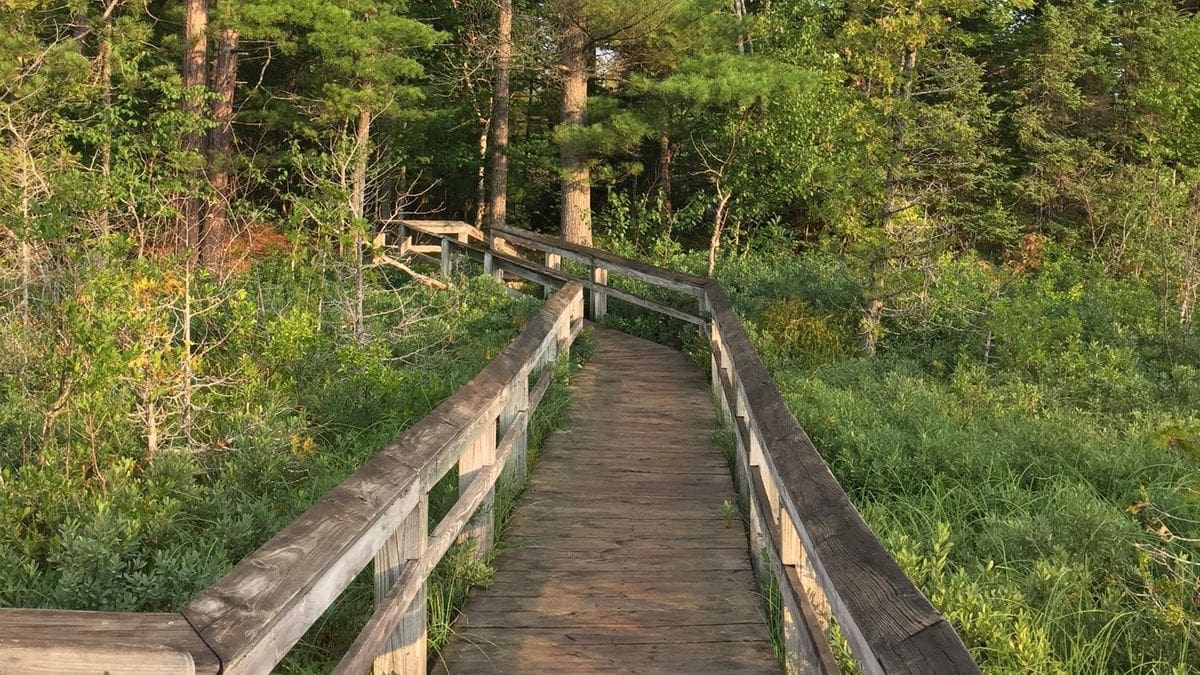 The Best Upper Peninsula Michigan Hikes For Families