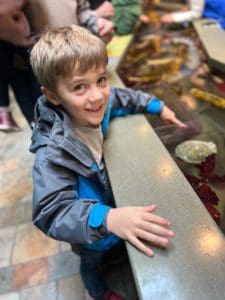 Monterey Bay Aquarium with Kids: A Guide to Visiting for Families