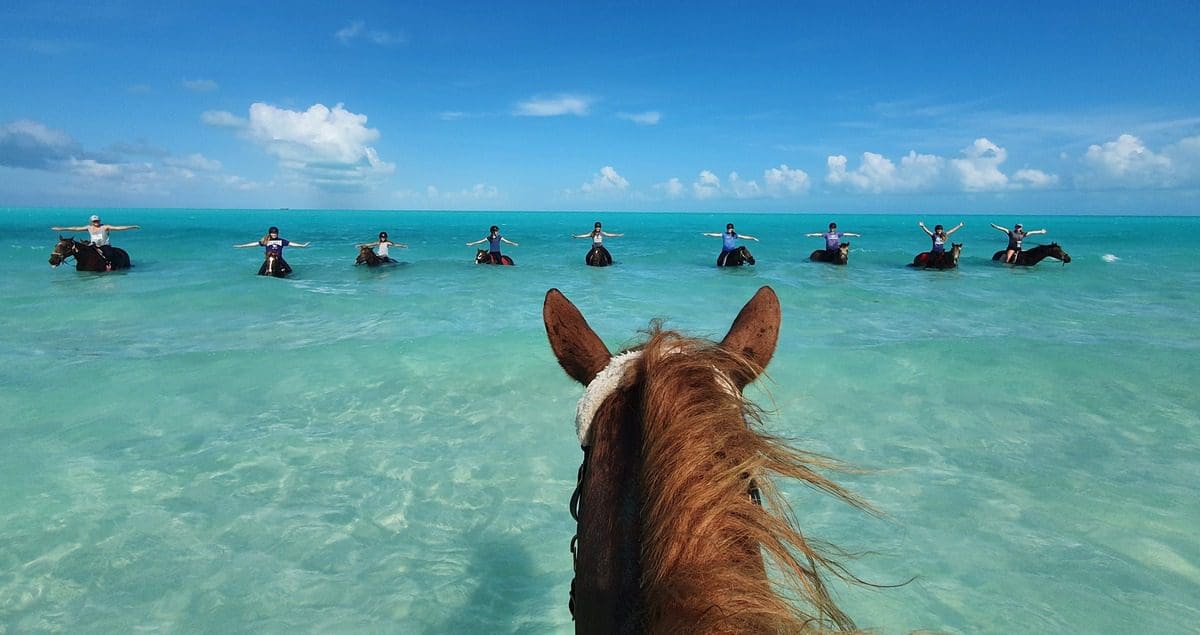 14 Fun Things To Do In Turks & Caicos With Kids