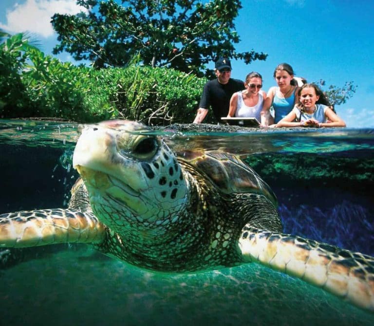 Things to Do in Mallorca with Kids: 20+ Activities Across the Island