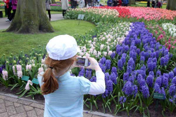 Best Places in the Netherlands with Kids: 11 Stops for Any Itinerary