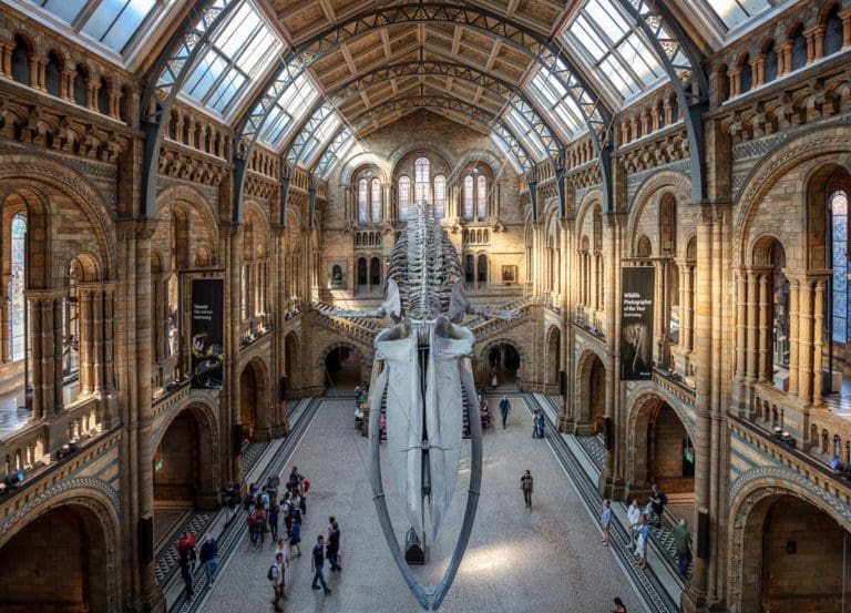 17 Best Museums In London For Kids (By Age)