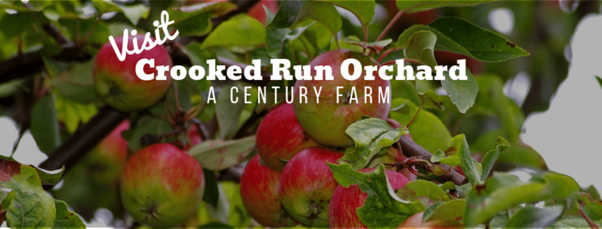 Apple-Picking near Washington DC for Families: 13 Top Spots!
