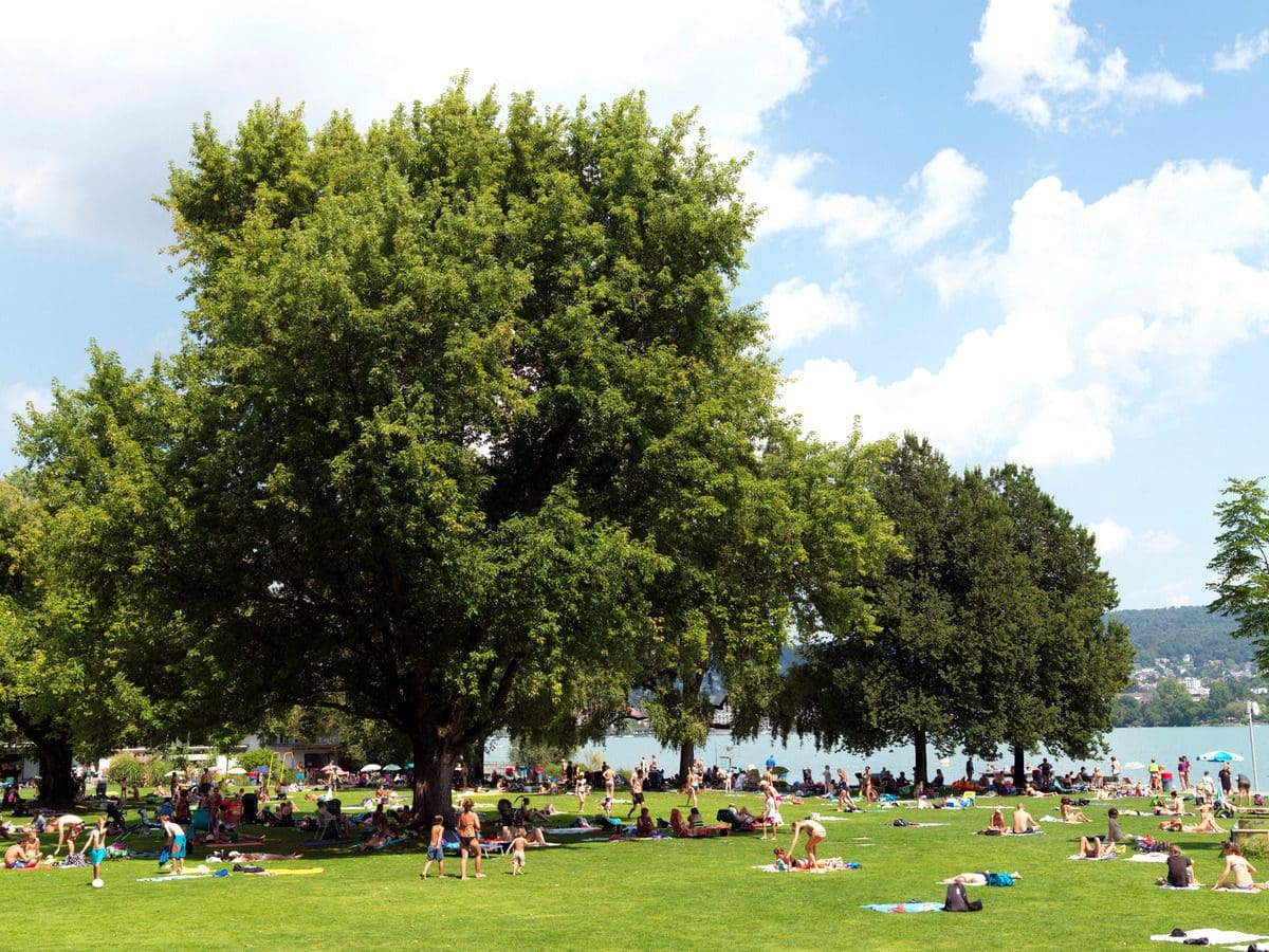 Things to Do in Zurich with Kids: 19+ Ideas for Little Kids to Teens