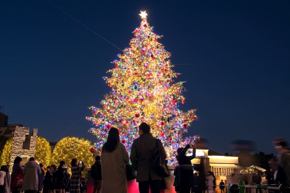 Best Places for Christmas for Families Worldwide: 12 Magical Ideas