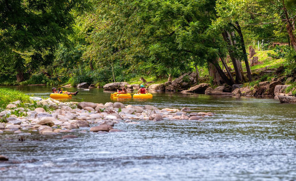 A Guide To Great Smoky Mountains National Park With Kids - Families ...